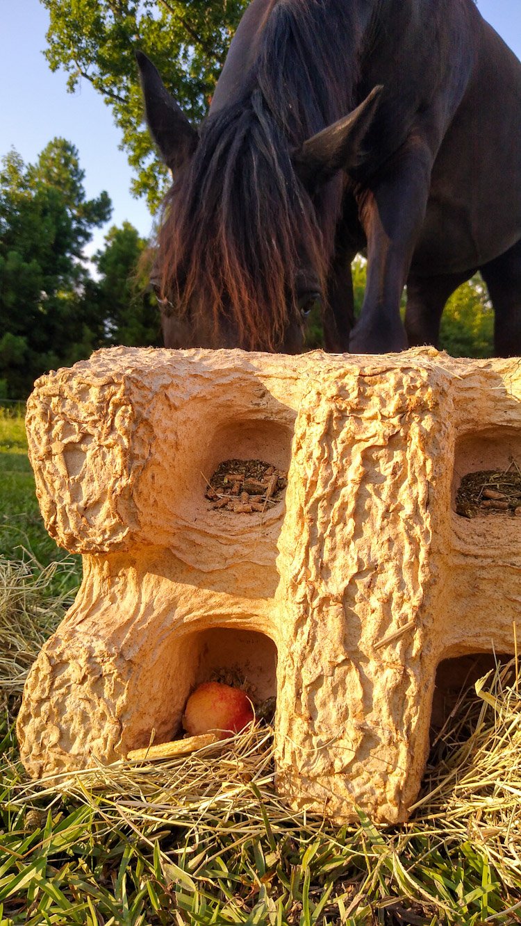 How to Make an Easy DIY Cardboard Horse Toy |Food Puzzle | Budget - Enriching Equines