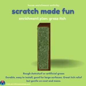 DIY Scratching Posts for Horses: 5 Ideas for the Perfect Texture ...