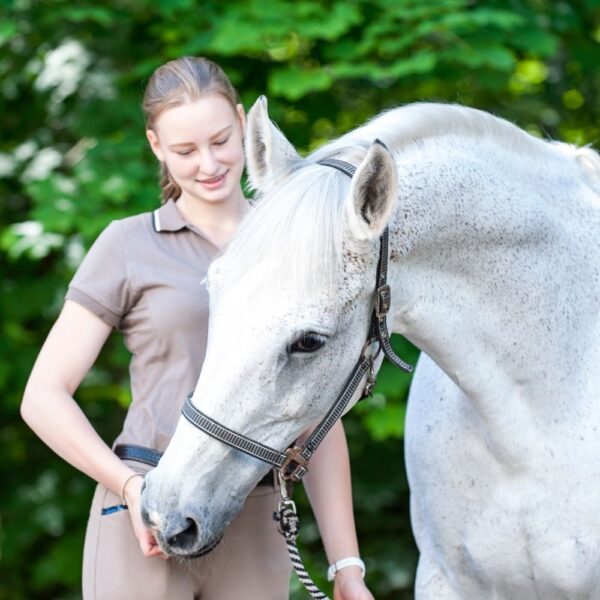 Positive Reinforcement and Horses: 7 Myths - Enriching Equines