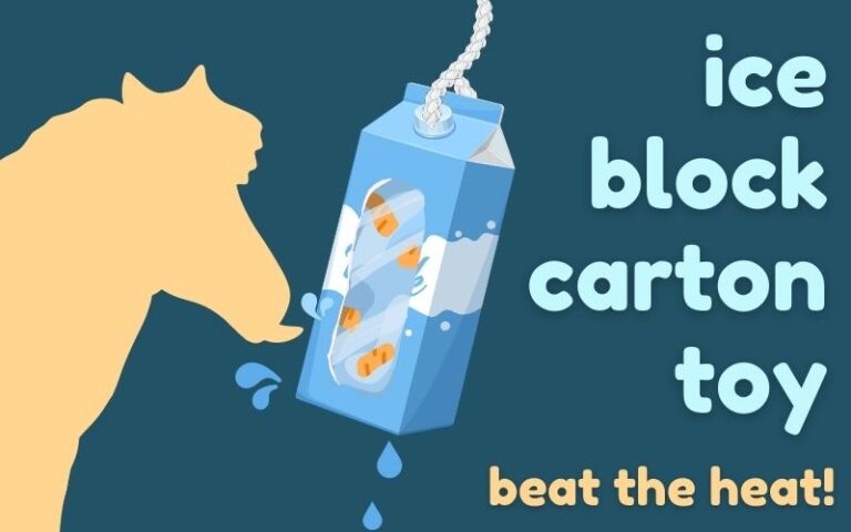 DIY Ice Block for Horses | Paper Carton Ice Block - Enriching Equines