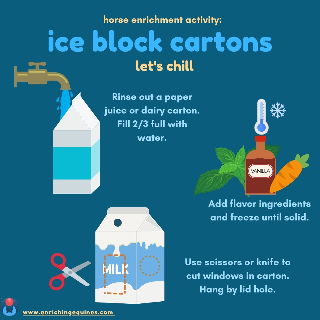 DIY Ice Block for Horses | Paper Carton Ice Block - Enriching Equines