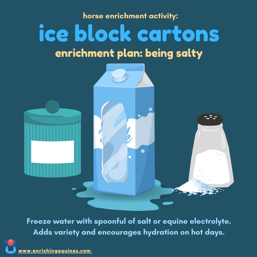 DIY Ice Block for Horses | Paper Carton Ice Block - Enriching Equines