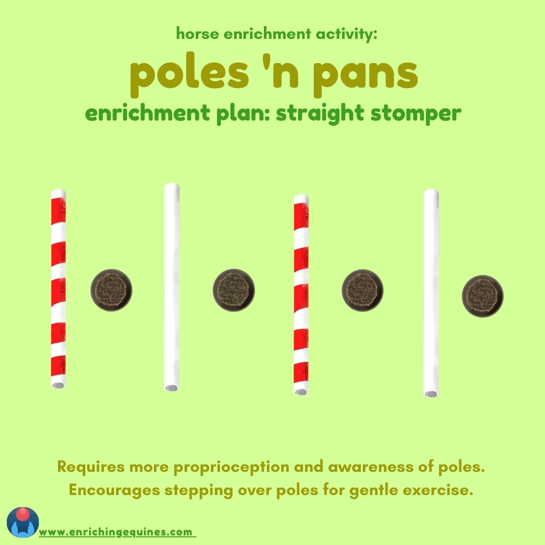 Ground Poles for Horses: Easy Foraging Enrichment and Exercise ...