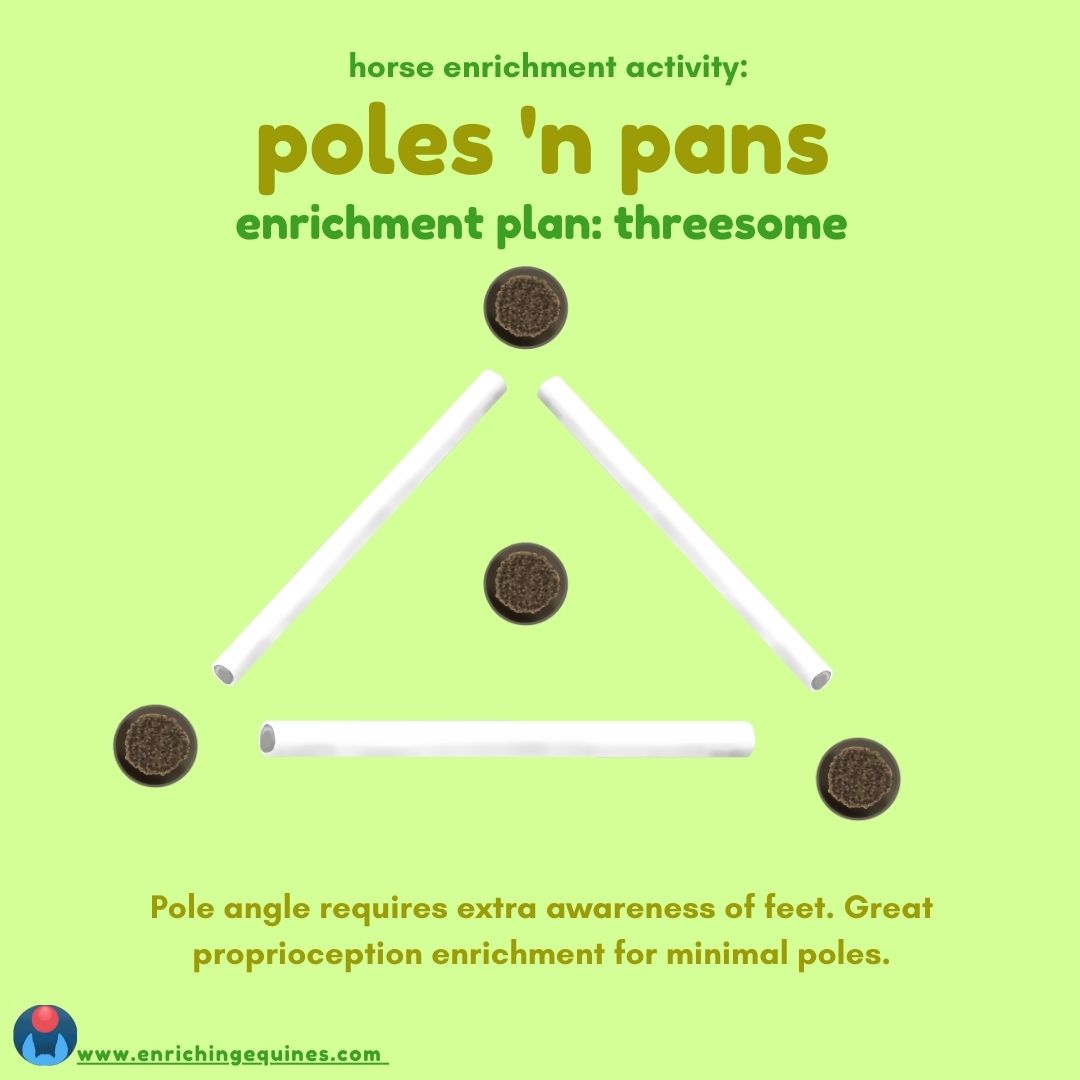 Ground Poles for Horses: Easy Foraging Enrichment and Exercise ...