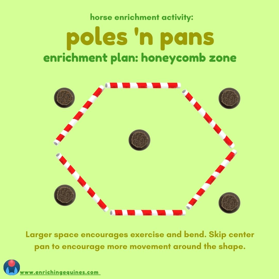 Ground Poles for Horses: Easy Foraging Enrichment and Exercise ...