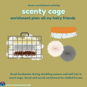 DIY Scent Cage for Equine Scent Enrichment - Enriching Equines