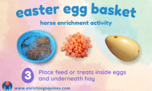 Easter Egg Basket for Horses | DIY Equine Enrichment - Enriching Equines