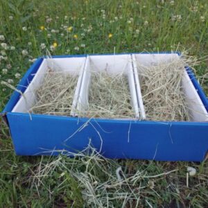 Nested Forage Box: Easy Horse Enrichment - Enriching Equines